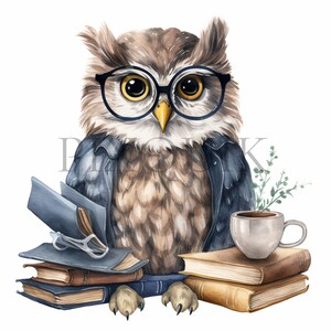 Watercolor Owl Clipart for Teachers | 10 High Quality Jpgs | Owl ...