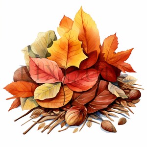 Watercolor Fall Leaf Heap Clipart | 10 High Quality Jpgs | Digital ...