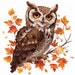 Autumn Owl Clipart | Fall Bird JPG Graphics (digital Download) - Etsy