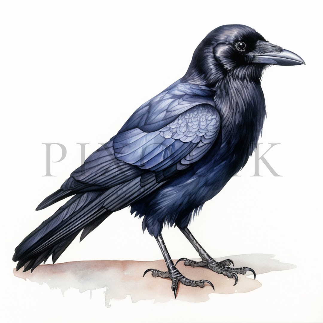 Crow Clipart | 10 High Quality Jpgs | Digital Download | Bird Clipart ...