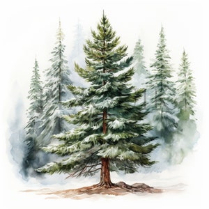 Snowy Pine Tree Clipart | 10 High Quality Jpgs | Digital Download ...