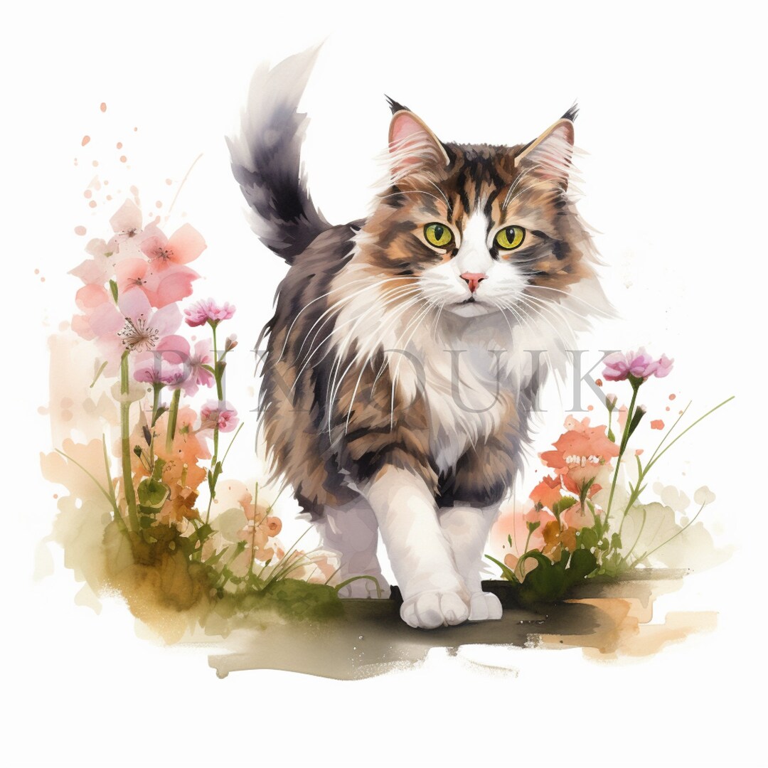 Norwegian Forest Cat Watercolor Clipart | Floral Cat Art (digital ...