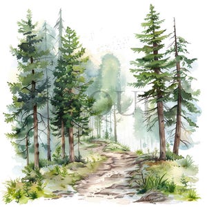 Forest Trail Clipart | 10 High Quality Jpg's | Digital Download ...