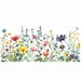 Wildflower Border Clipart | High-resolution Floral Jpgs (digital ...