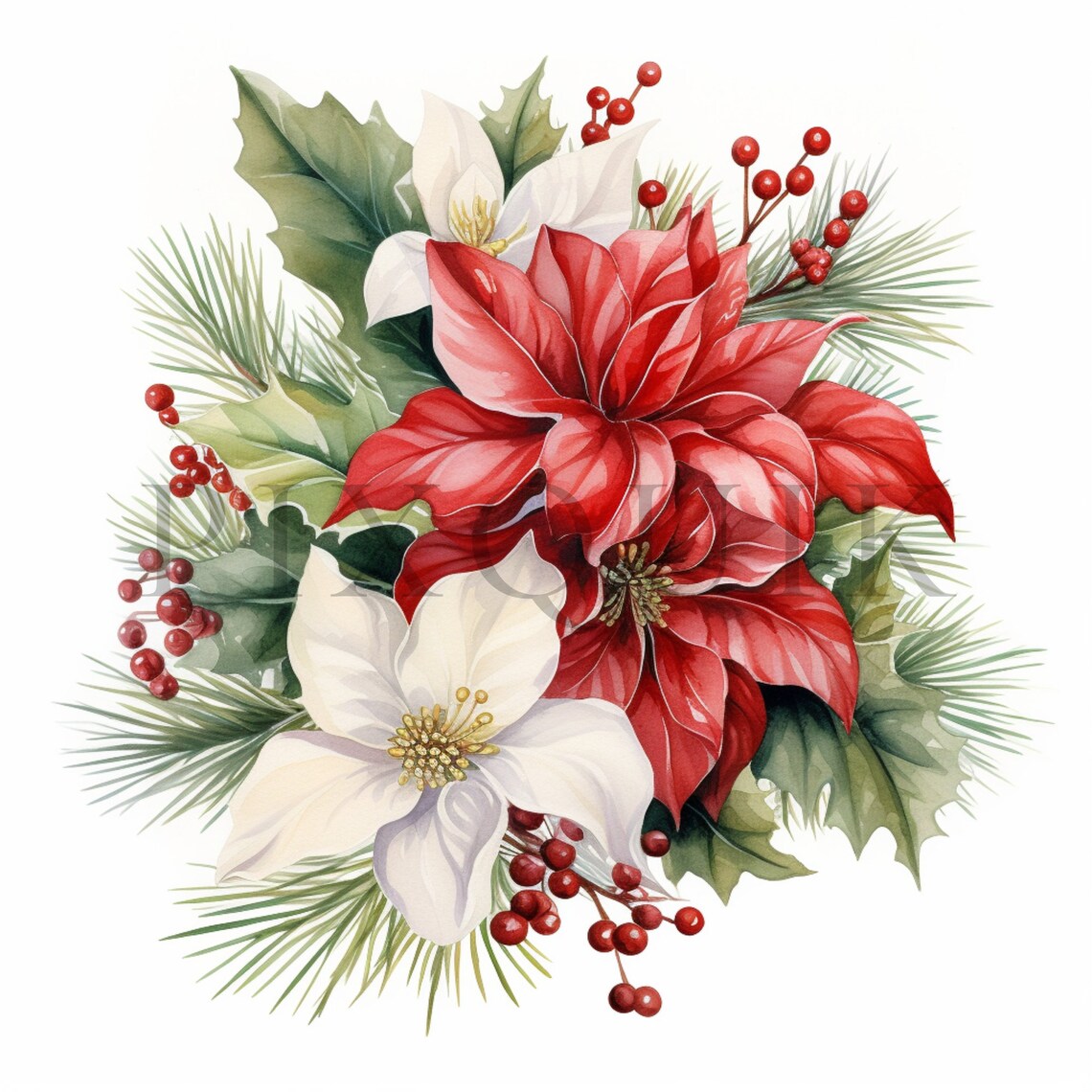 Holiday Poinsettia Clipart | Christmas Floral JPG (digital Download) - Etsy