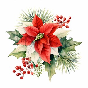 Festive Christmas Plant Clipart 10 High Quality Jpgs Holiday Flora Art ...