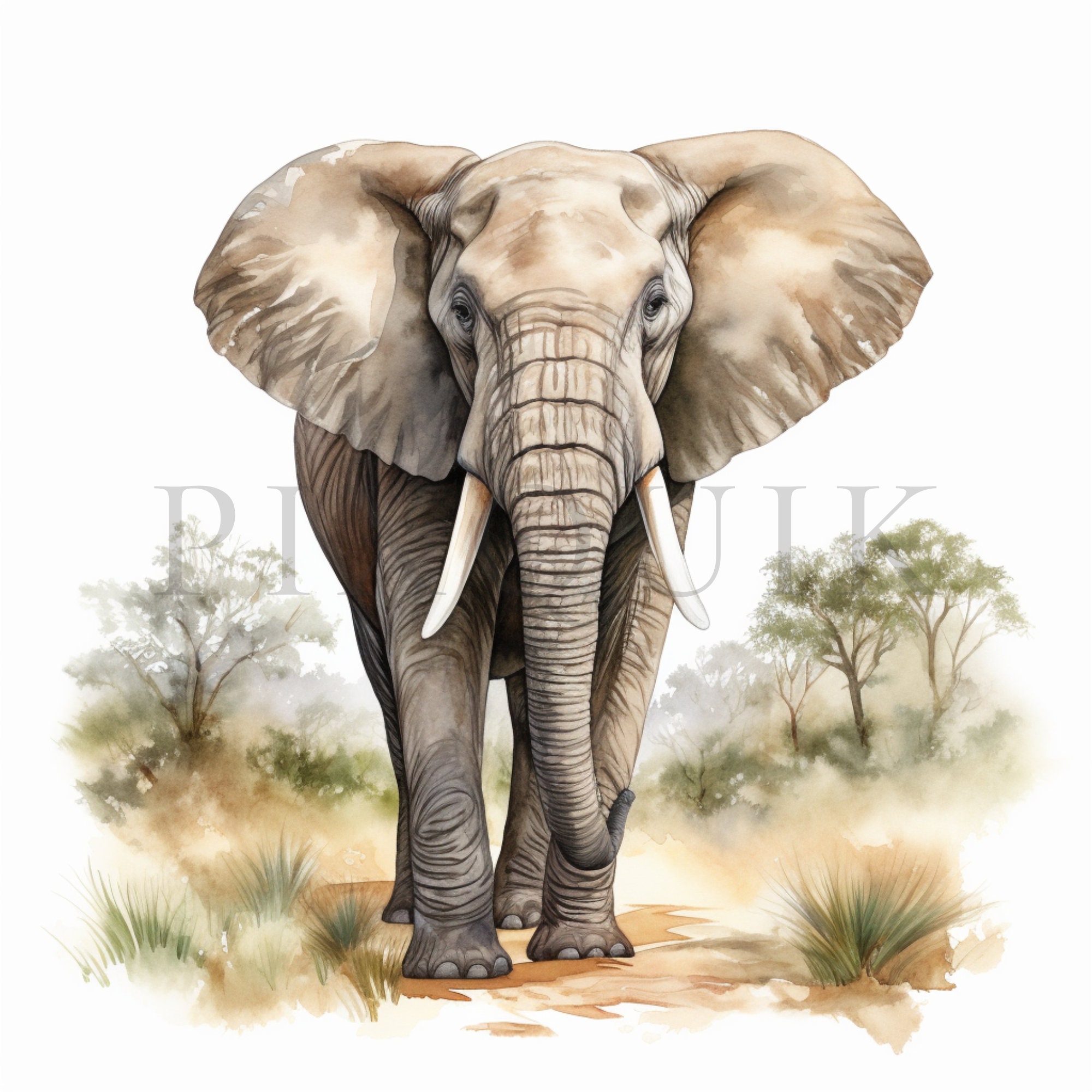 Watercolor Elephant Clipart 10 High Quality Jpgs Digital Download ...