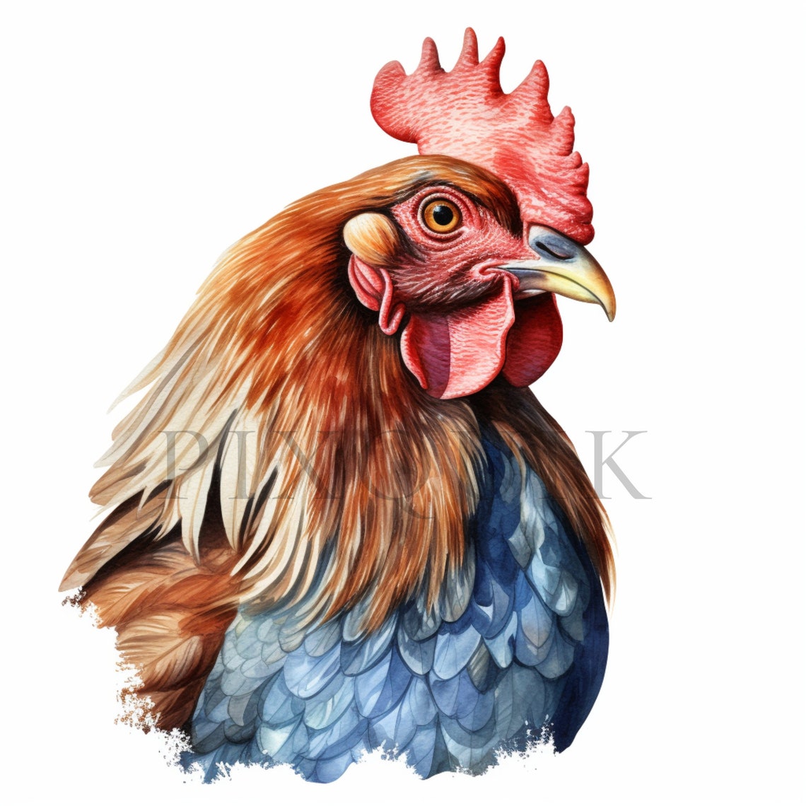 Watercolor Chicken Clipart 10 High Quality Jpgs Digital Download Cute ...