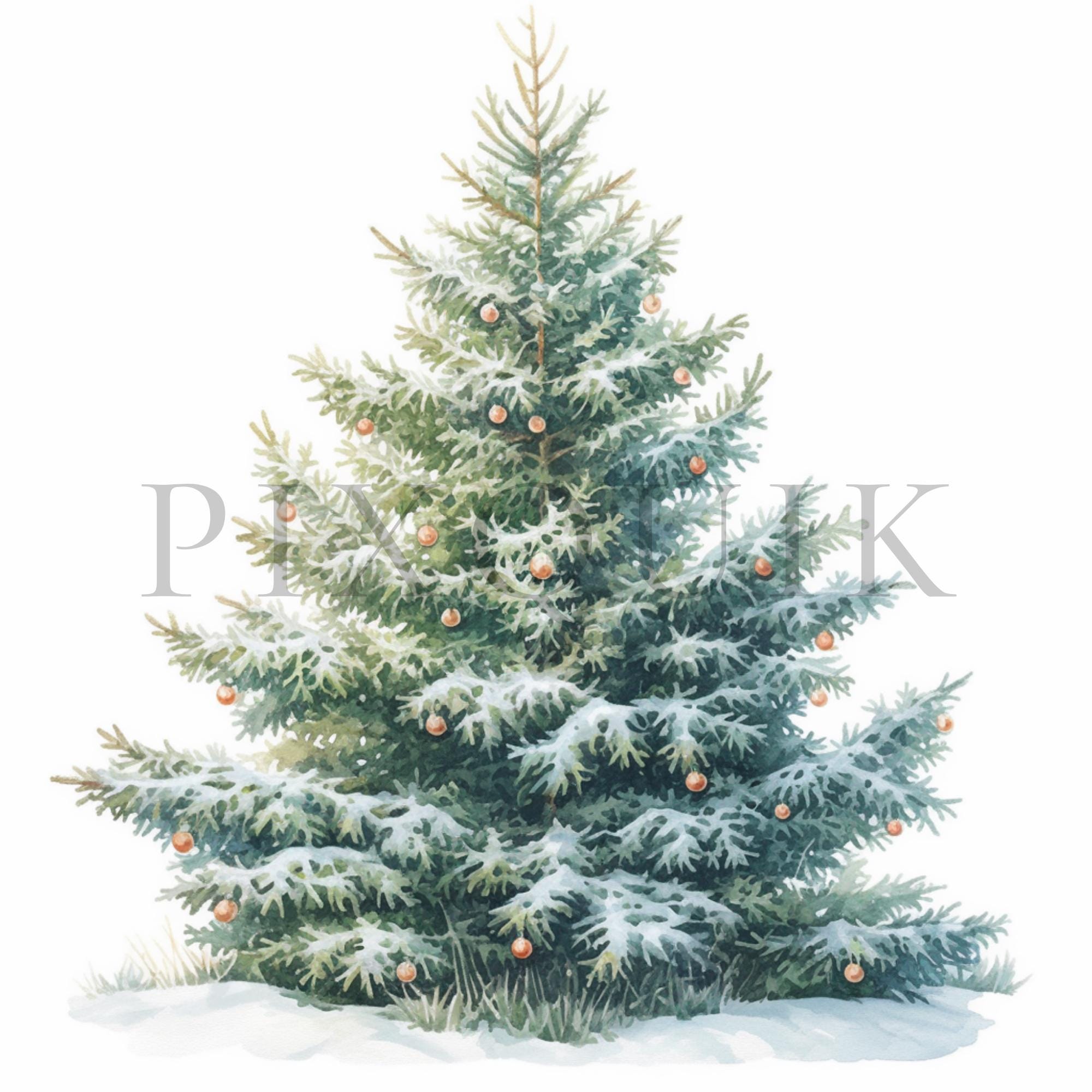 Watercolor Holiday Tree Clipart 10 High Quality Jpg's Digital Download ...