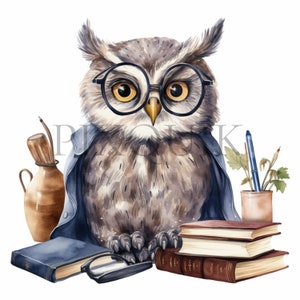 Watercolor Owl Clipart for Teachers | 10 High Quality Jpgs | Owl ...