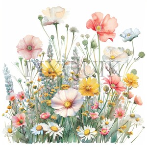 Garden Flower Clip Art | 10 High Quality Jpgs | Wild Flowers | Floral ...