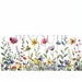 Wildflower Border Clipart | High-resolution Floral Jpgs (digital ...