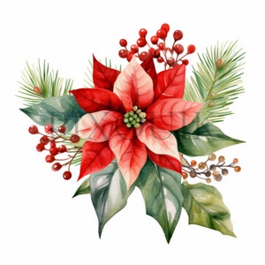 Festive Christmas Plant Clipart 10 High Quality Jpgs Holiday Flora Art ...