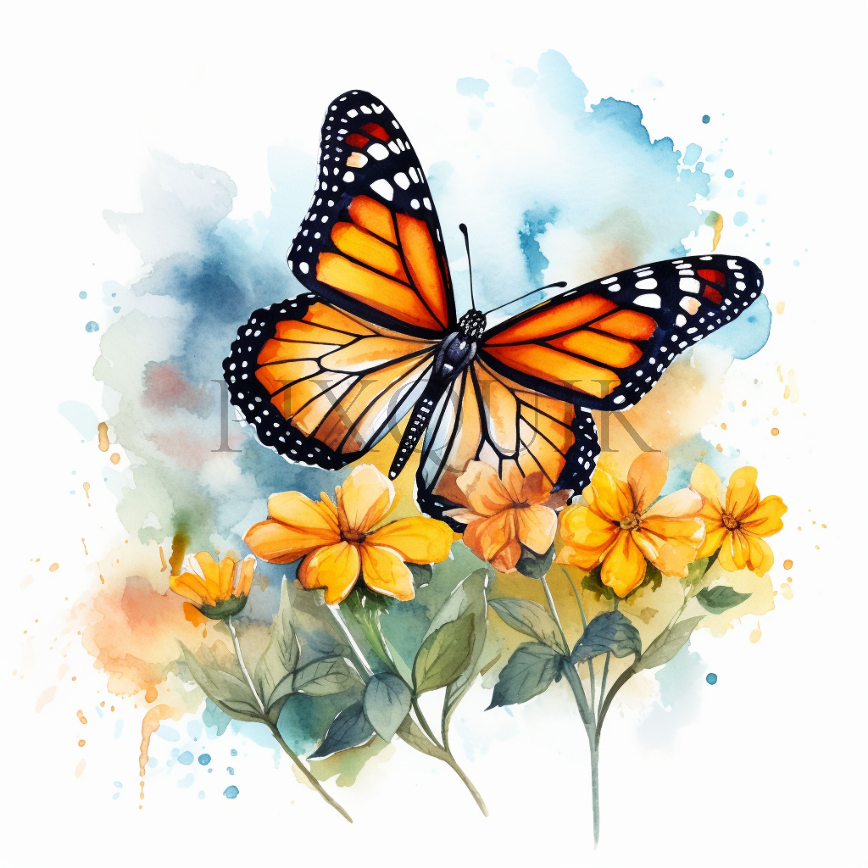 Watercolor Monarch Clipart 10 High Quality Jpgs Floral Monarch ...