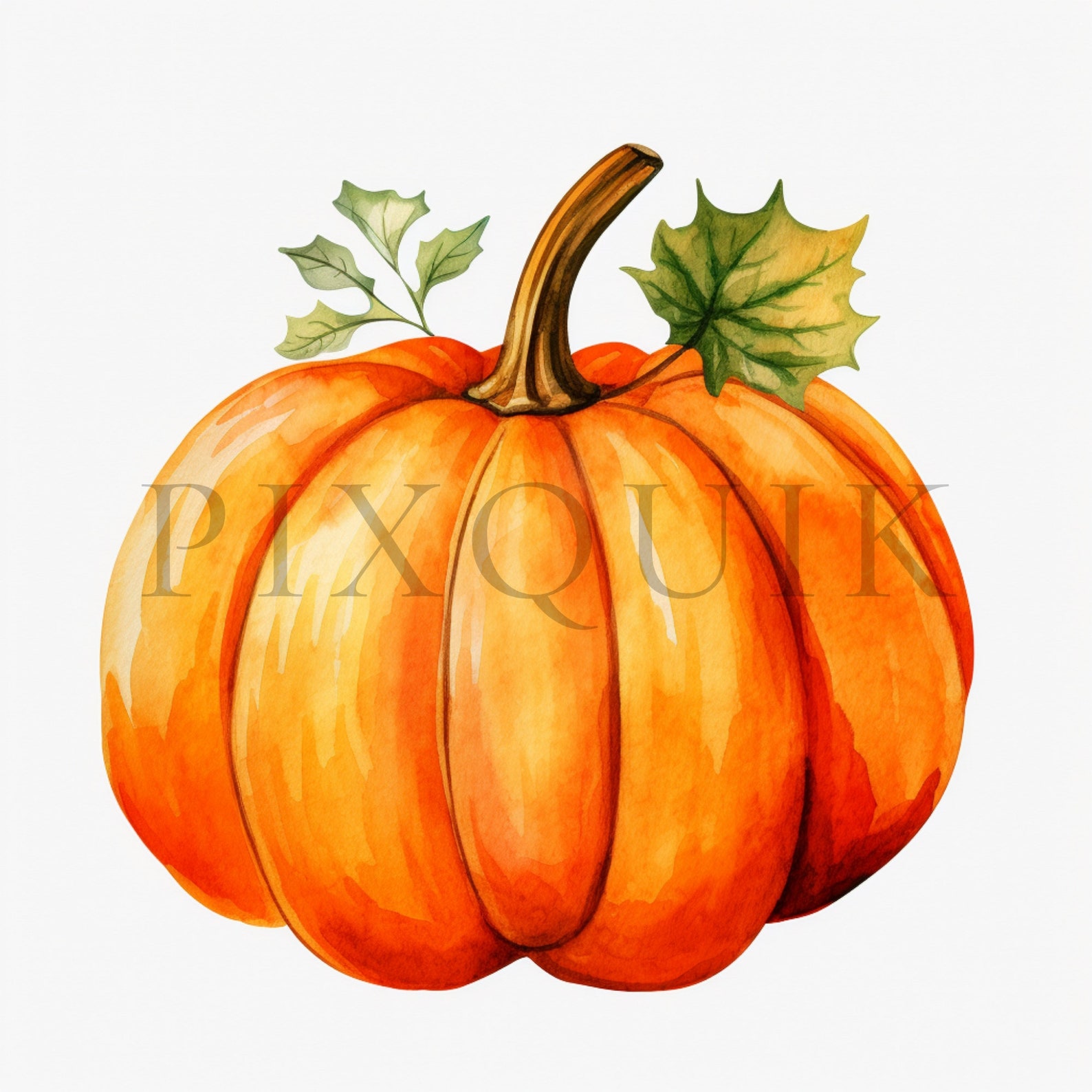 Autumn Pumpkin Clipart | Fall Harvest JPG Images (digital Download) - Etsy