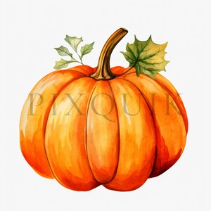 Autumn Pumpkin Clipart | 10 High Quality Jpgs | Instant Digital ...