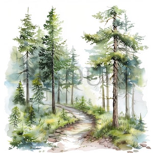 Forest Trail Clipart | 10 High Quality Jpg's | Digital Download ...