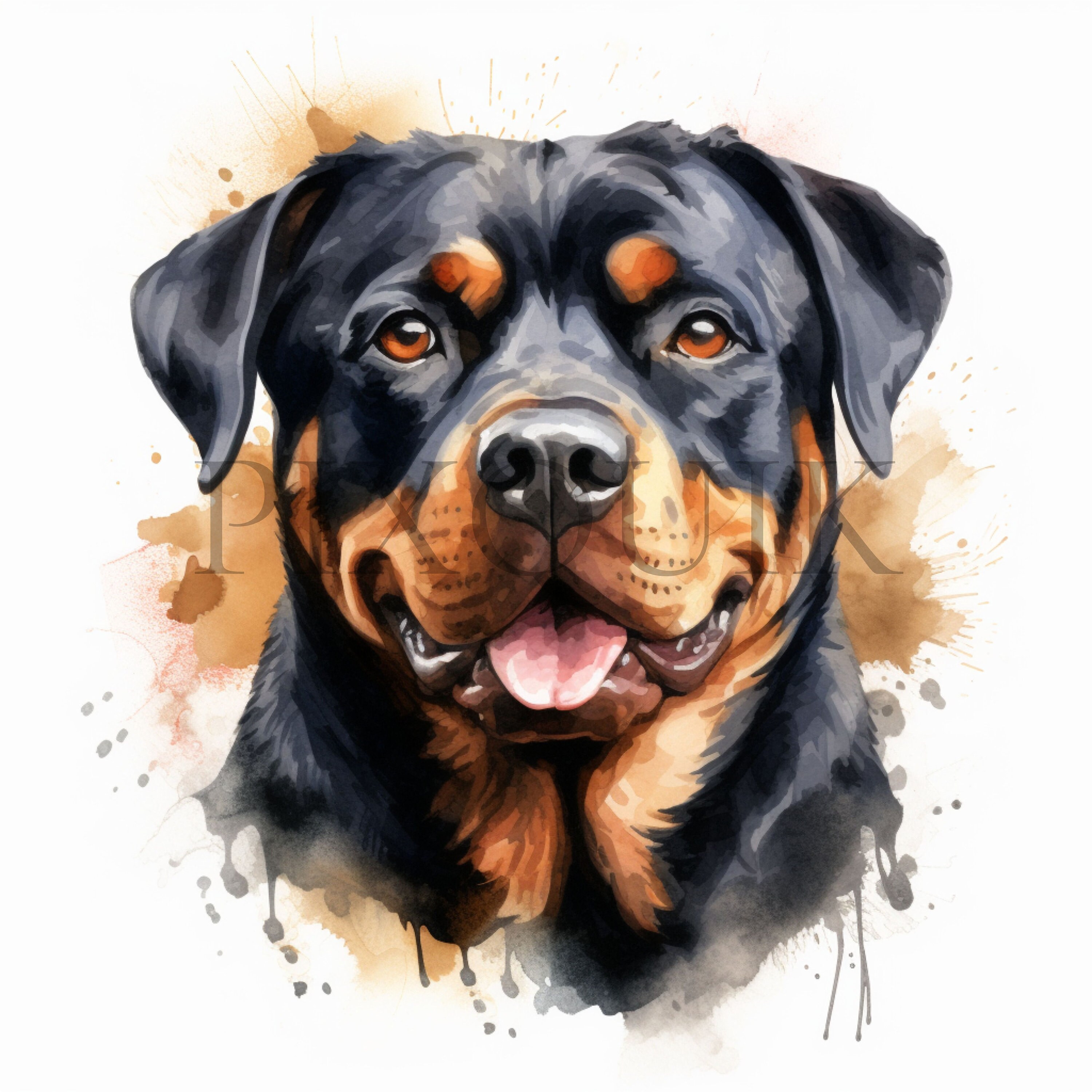 Watercolor Rottweiler Clipart 10 High Quality Jpgs Digital Download ...