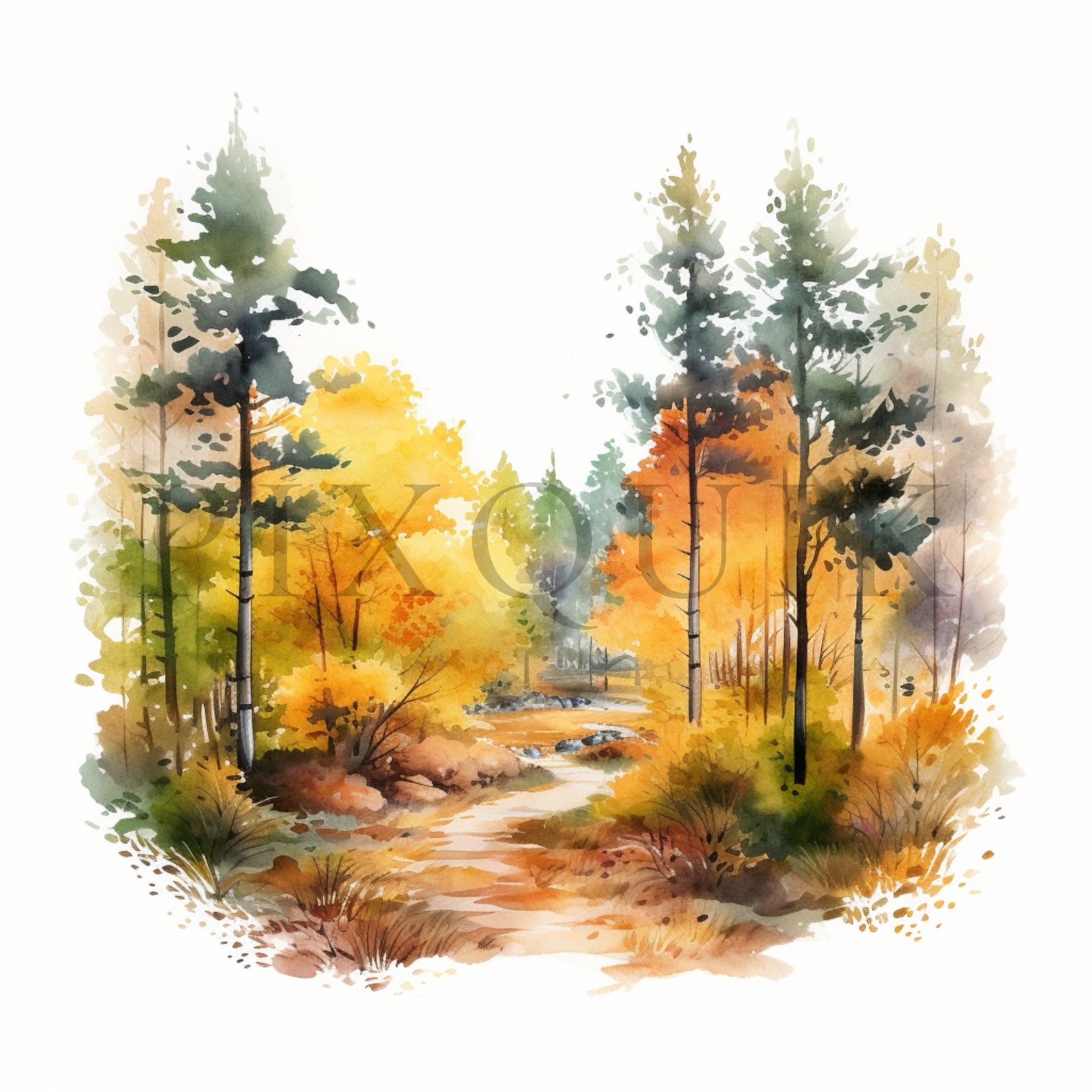 Autumn Forest Watercolor Clipart | Fall Nature Jpgs (digital Download ...