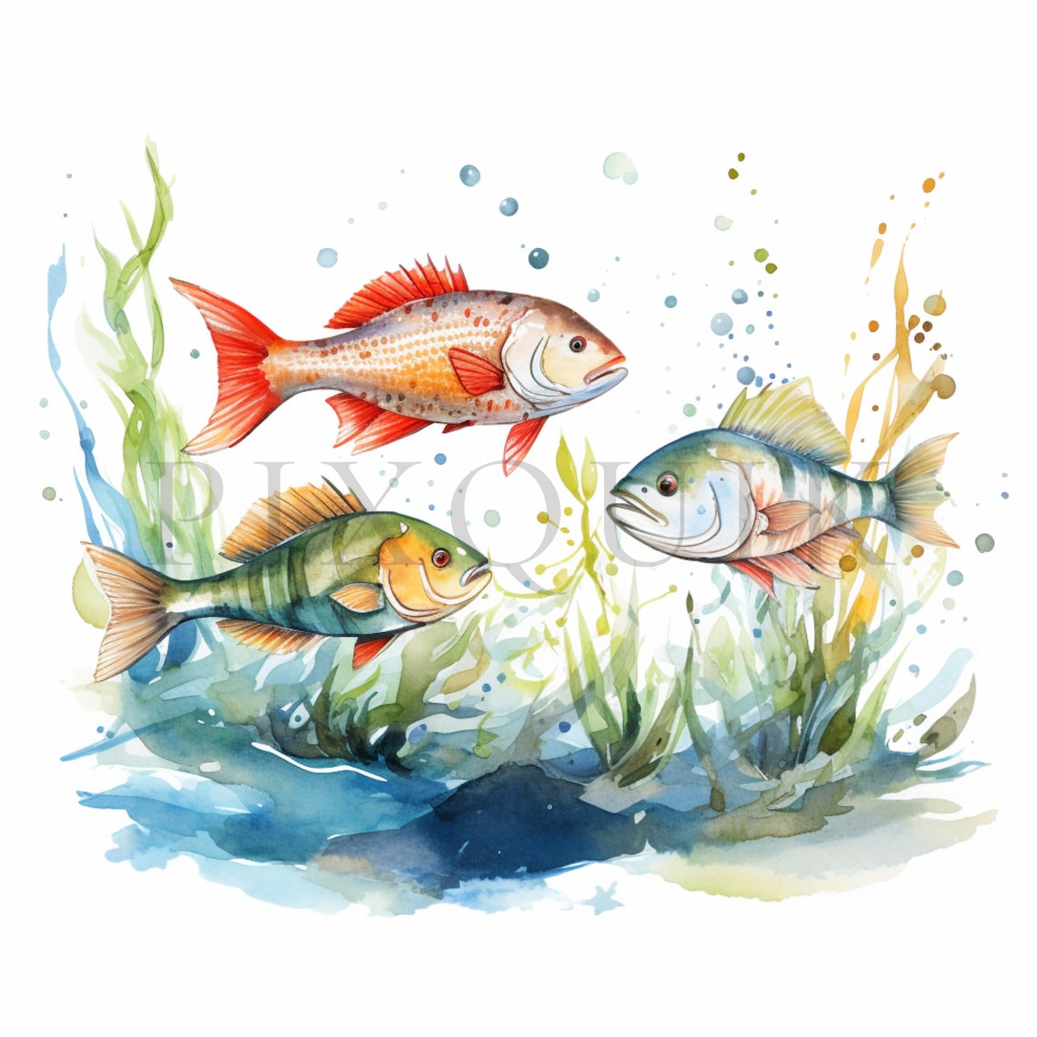 Aquarium Fish Clipart 10 High Quality Jpgs Watercolor Fishing Clipart ...