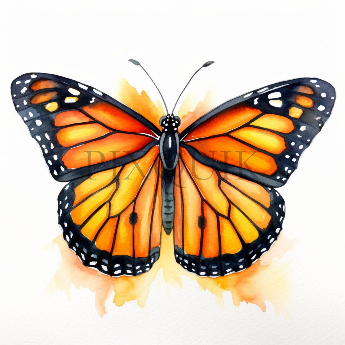 Watercolor Monarch Clipart 10 High Quality Jpgs Monarch Butterfly ...