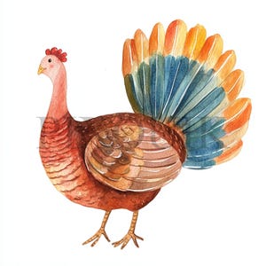 Autumn Turkey Clipart | 10 High Quality Jpg's | Thanksgiving Turkey ...