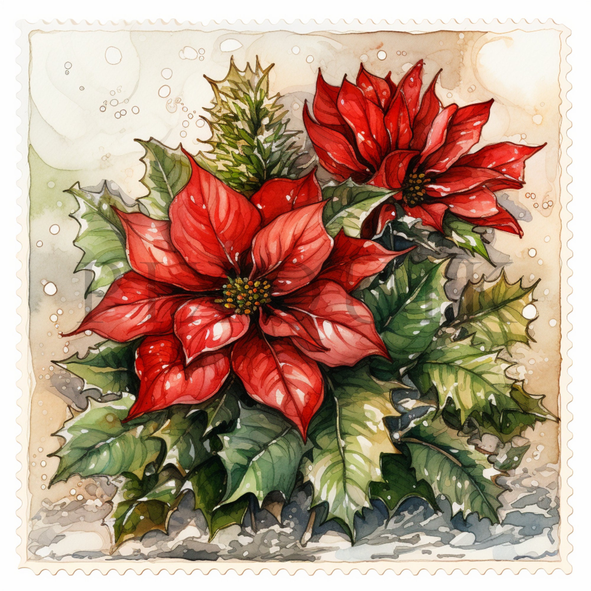 Poinsettia Stamp Clipart | Festive Christmas Jpgs (digital Download) - Etsy