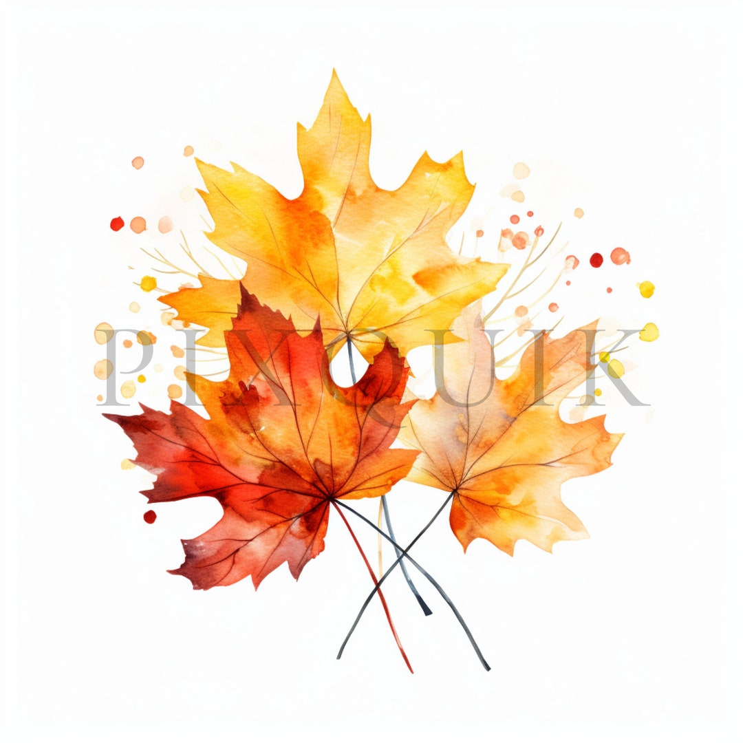 Autumn Leaves Watercolor Clipart: Fall Foliage Jpgs (digital Download ...