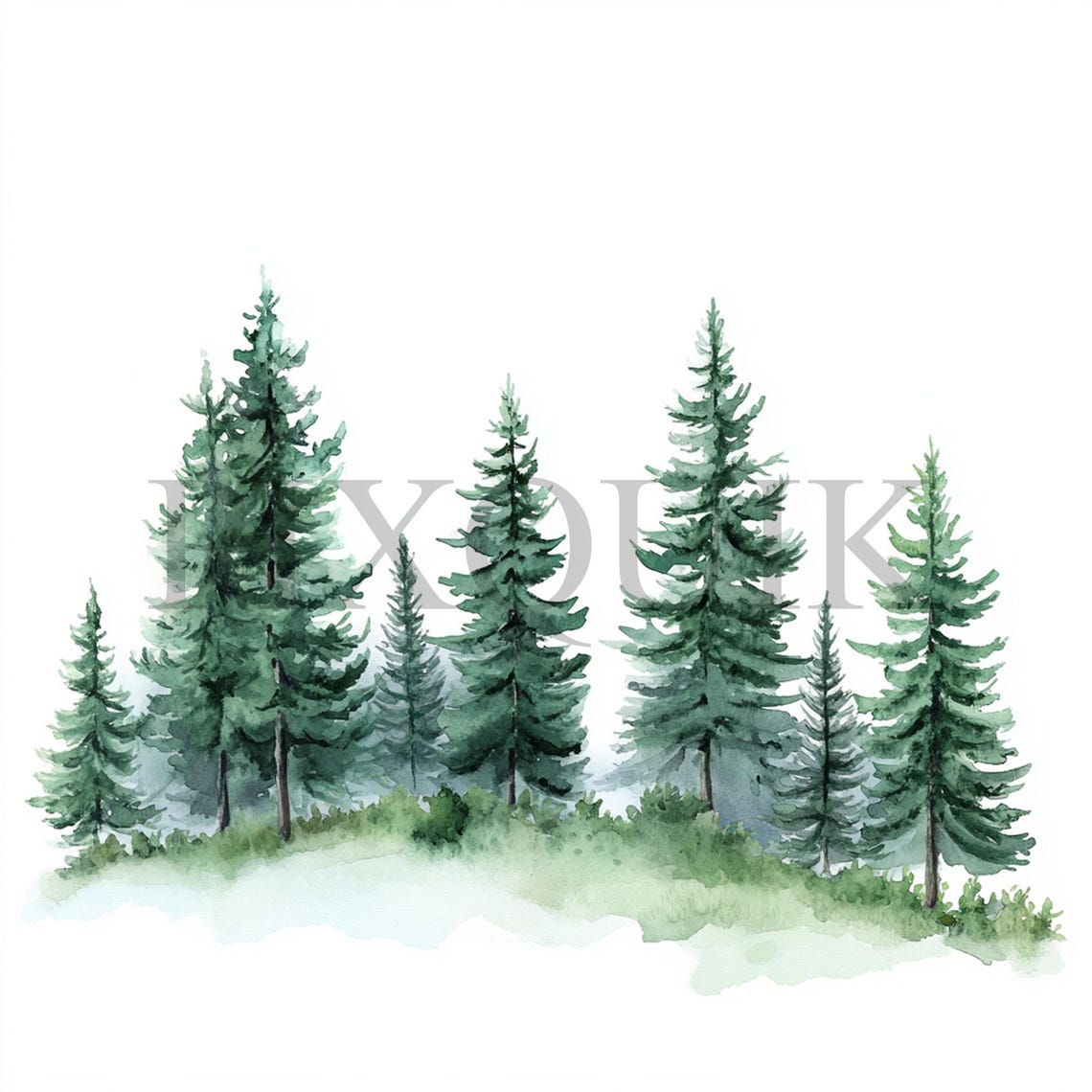 Watercolor Pine Tree Clipart | Forest Illustration (10 JPG & PNG Files ...
