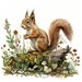Squirrel Clipart | 10 JPG Woodland Animal Graphics (digital Download ...