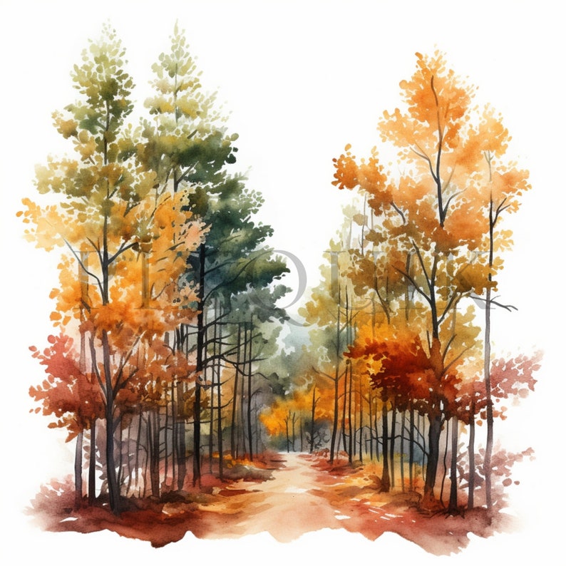 Autumn Forest Clipart 10 High Quality Jpgs Digital Download Forest ...