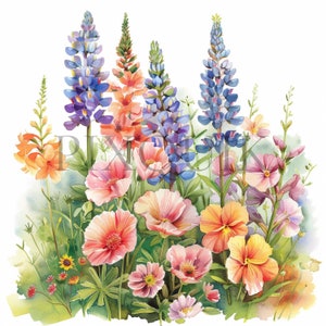 Wildflower Clipart Set | Botanical Garden Illustrations (10 Jpgs) - Etsy