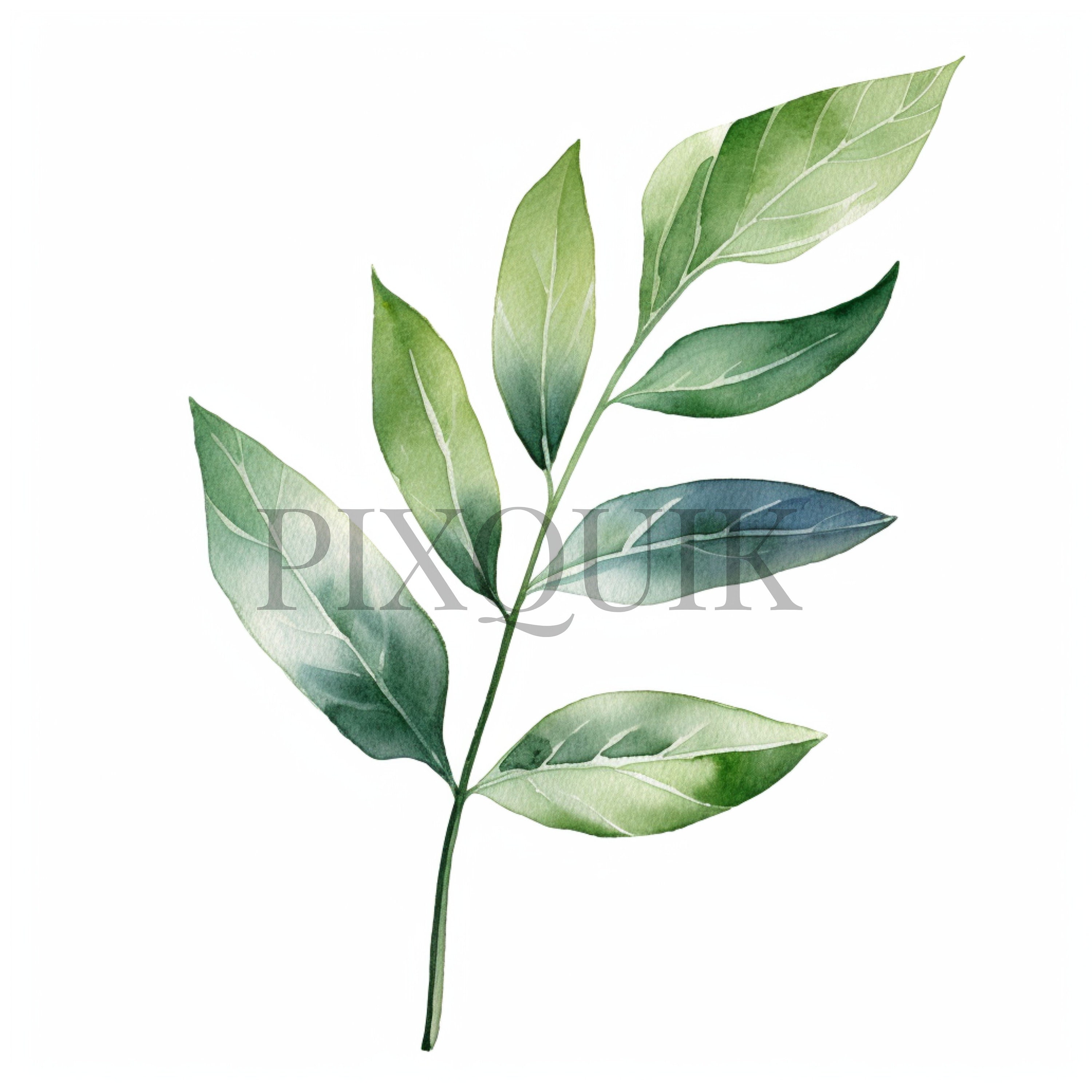 Watercolor Leaf Clipart | Hyper-realistic Botanical Art (digital ...