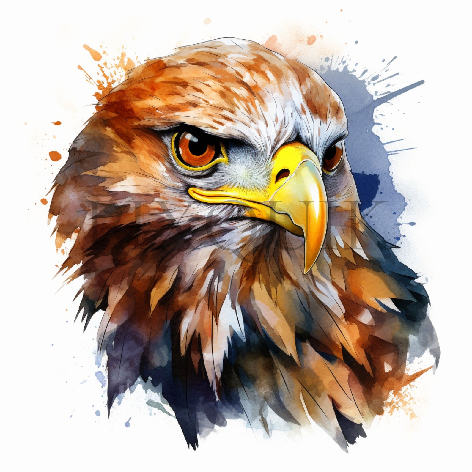 Watercolor Eagle Clipart | 10 High-quality Jpgs | Digital Download ...