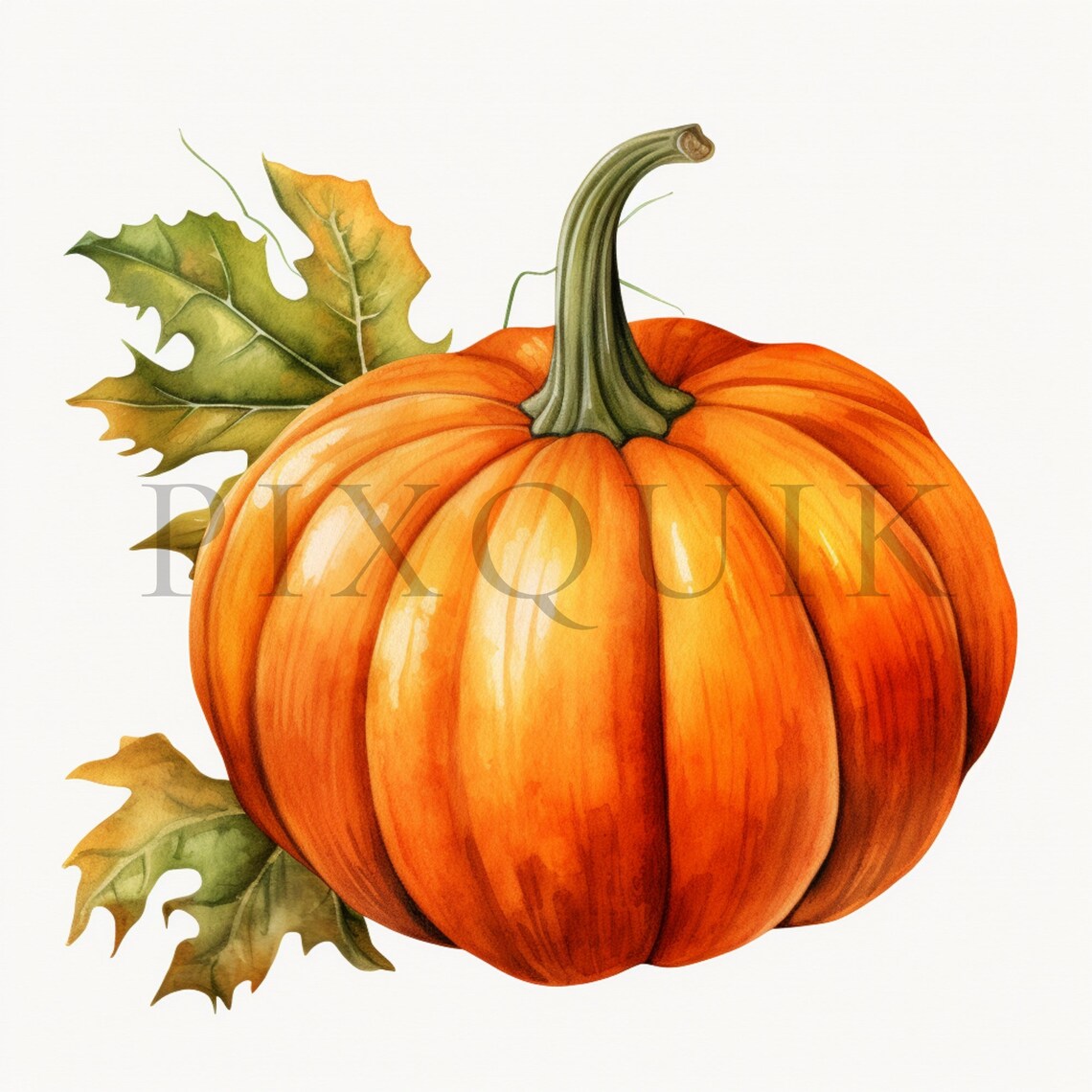 Autumn Pumpkin Clipart | Fall Harvest JPG Images (digital Download) - Etsy
