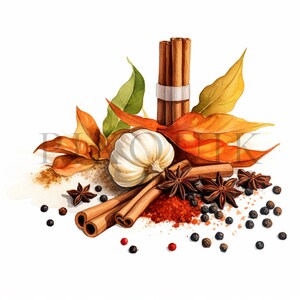 Autumn Spice Clipart | Fall Harvest JPG Images (digital Download) - Etsy