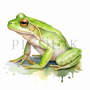 Green Frog Clipart | Watercolor Style Animal Illustration (digital ...