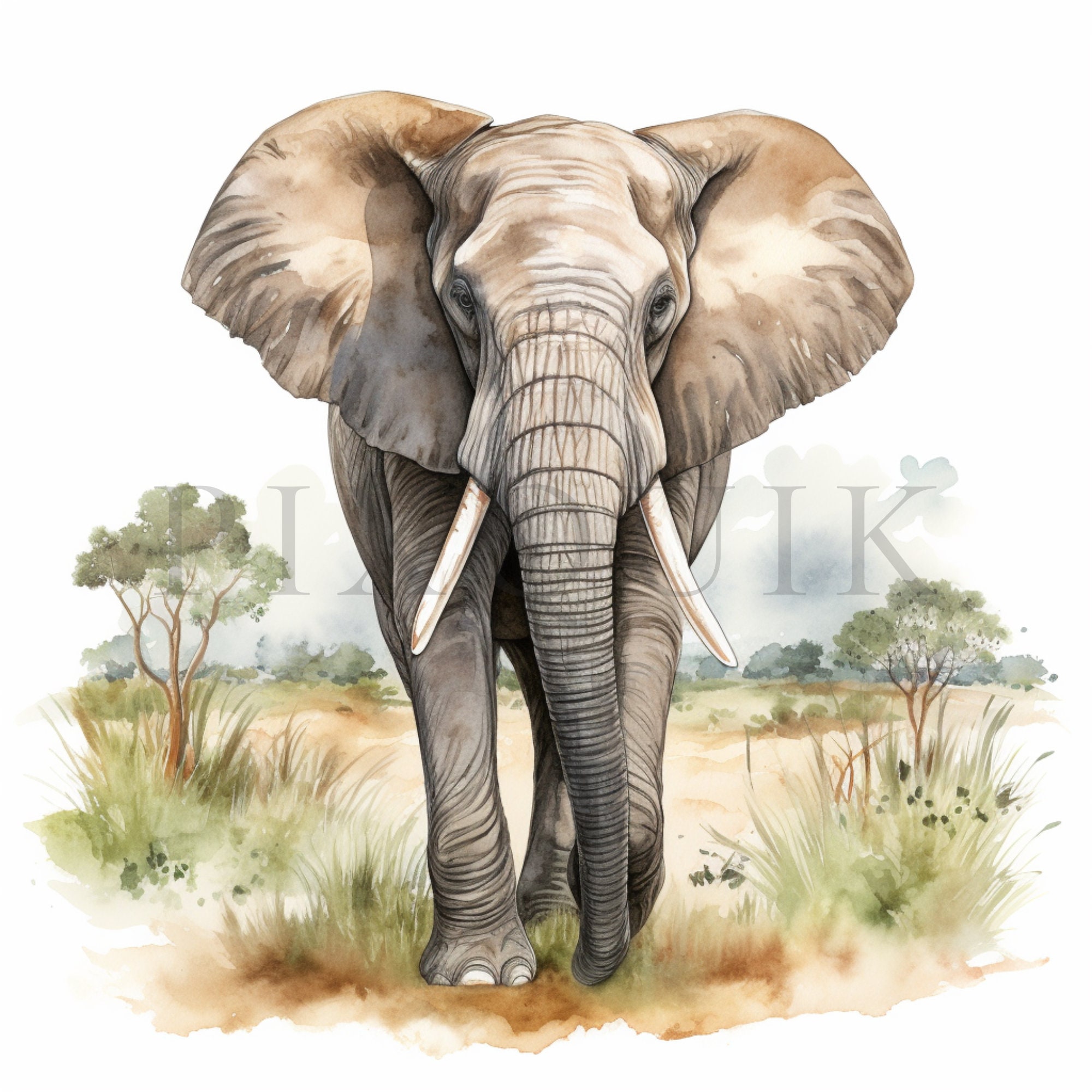 Watercolor Elephant Clipart 10 High Quality Jpgs Digital Download ...