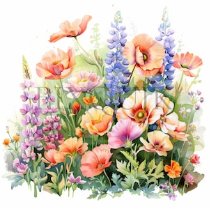 Wildflower Clipart Set | Botanical Garden Illustrations (10 Jpgs) - Etsy