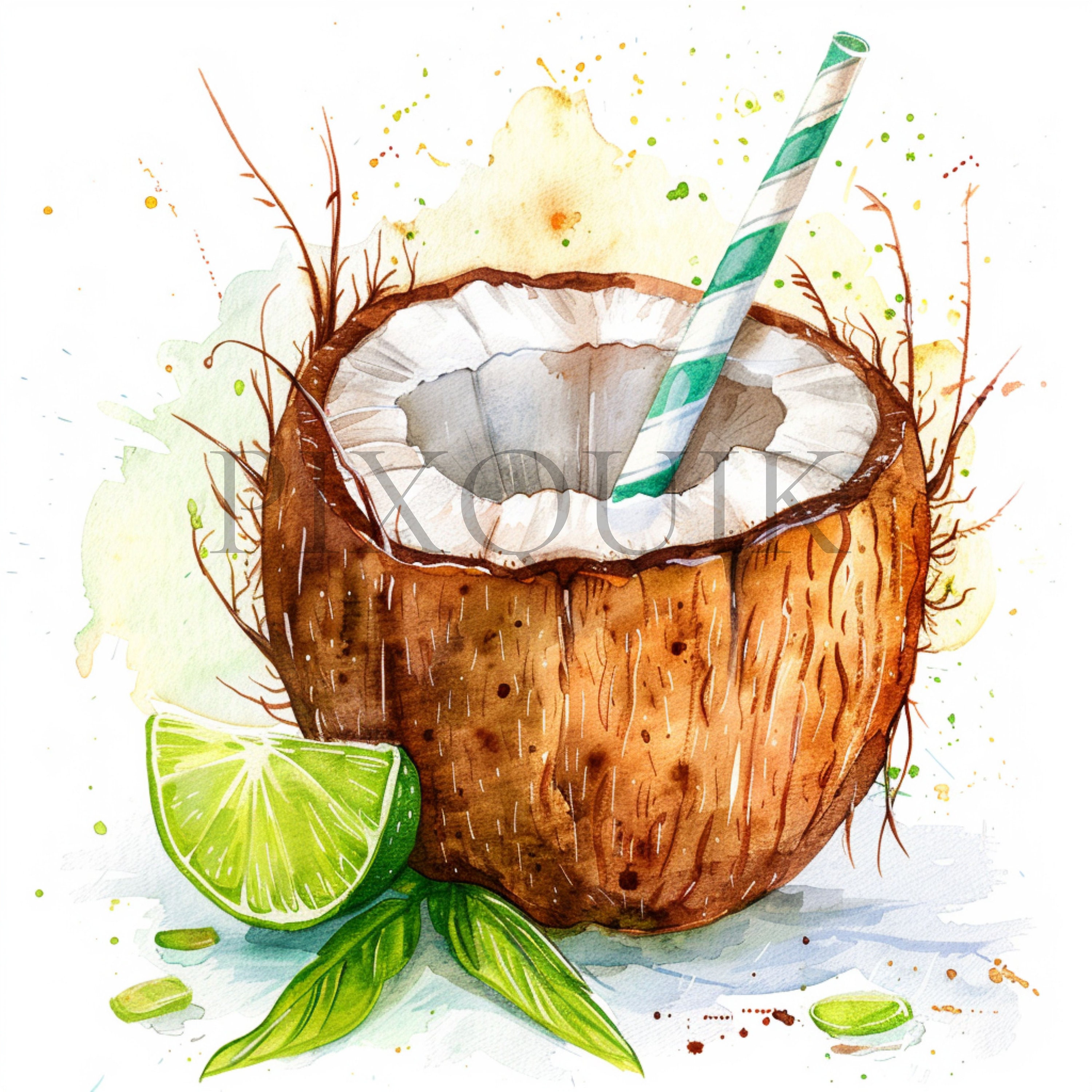 Watercolor Coconut Drink Clipart | 10 High-quality Jpg's | Summer ...