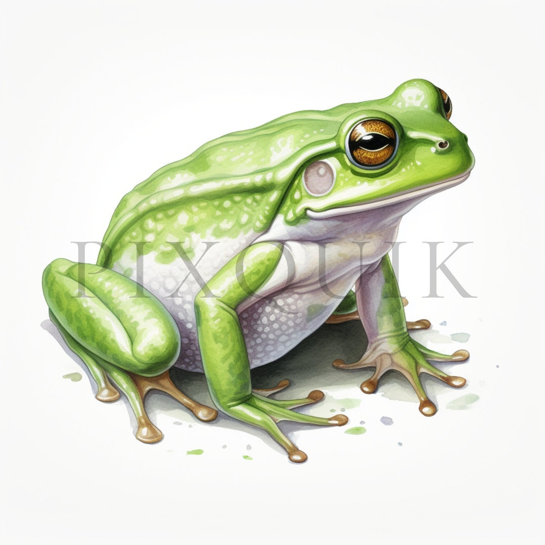 Frog Clipart | 10 High Quality Jpgs | Digital Download | Frog | Animal ...