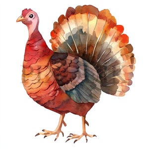 Autumn Turkey Clipart | 10 High Quality Jpg's | Thanksgiving Turkey ...