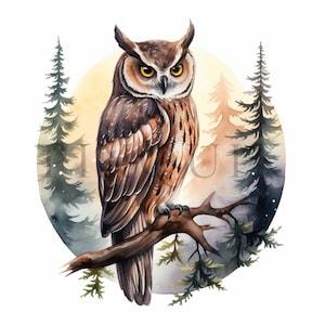 Owl Clipart Set | Woodland Animal Jpgs (digital Download) - Etsy