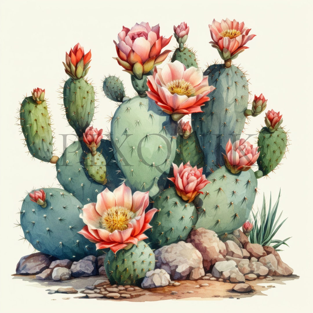 Vintage Blooming Cactus Clipart | 10 High Quality Jpgs | Retro Cactus ...