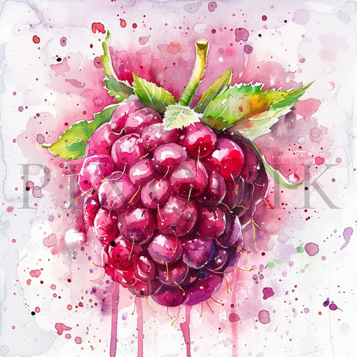 Watercolor Raspberry Clipart 11 High Quality Jpgs Digital Download ...
