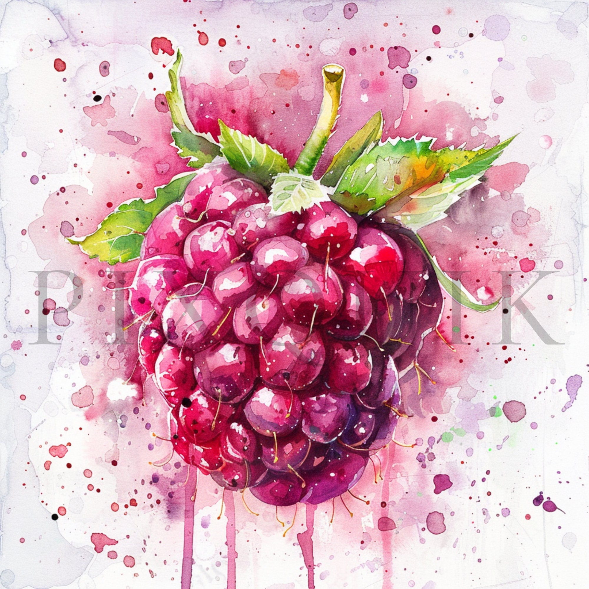 Watercolor Raspberry Clipart | High-resolution Jpgs (digital Download ...