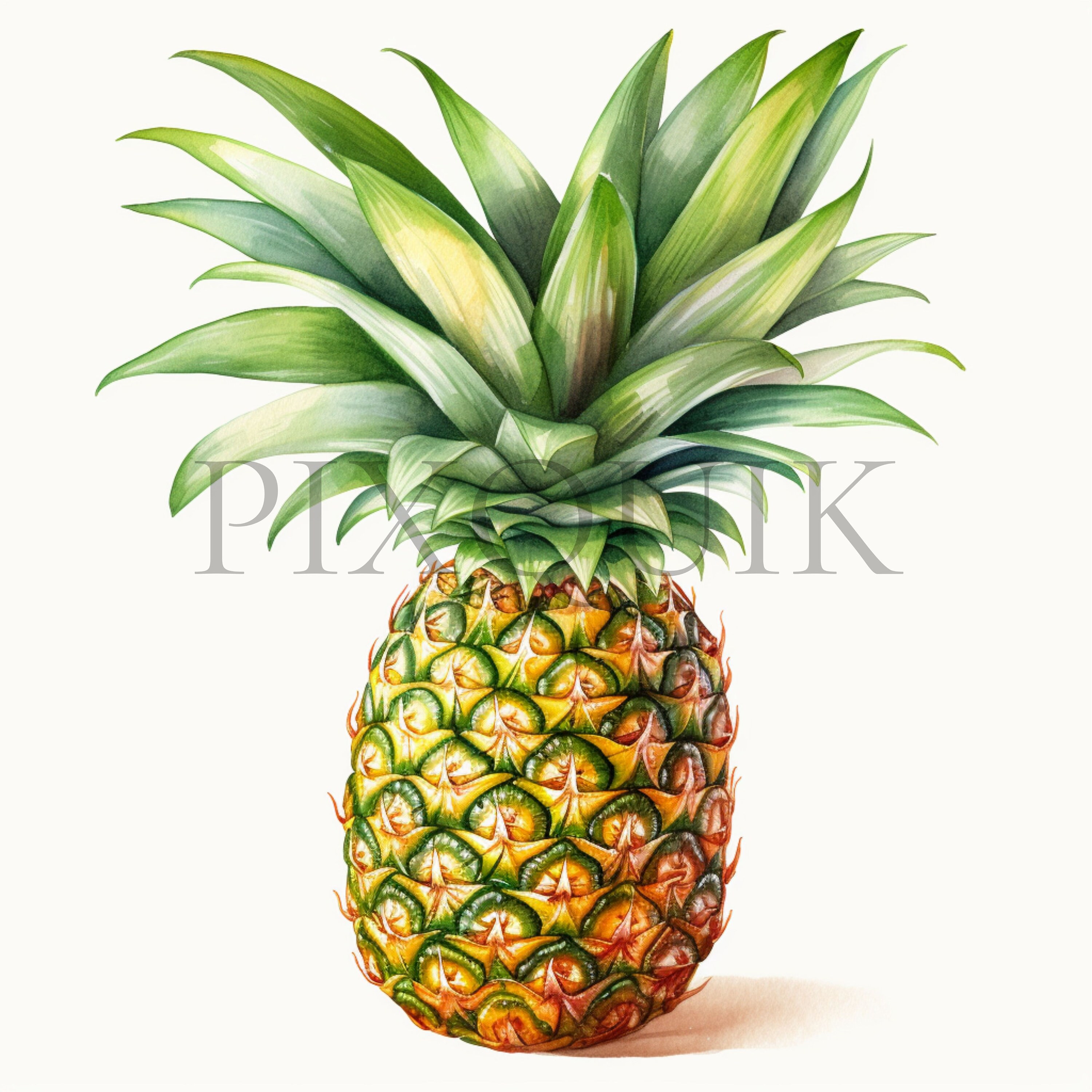 Watercolor Pineapple Clipart 10 High Quality Jpgs Fruit Clipart ...