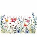 Wildflower Border Clipart | High-resolution Floral Jpgs (digital ...