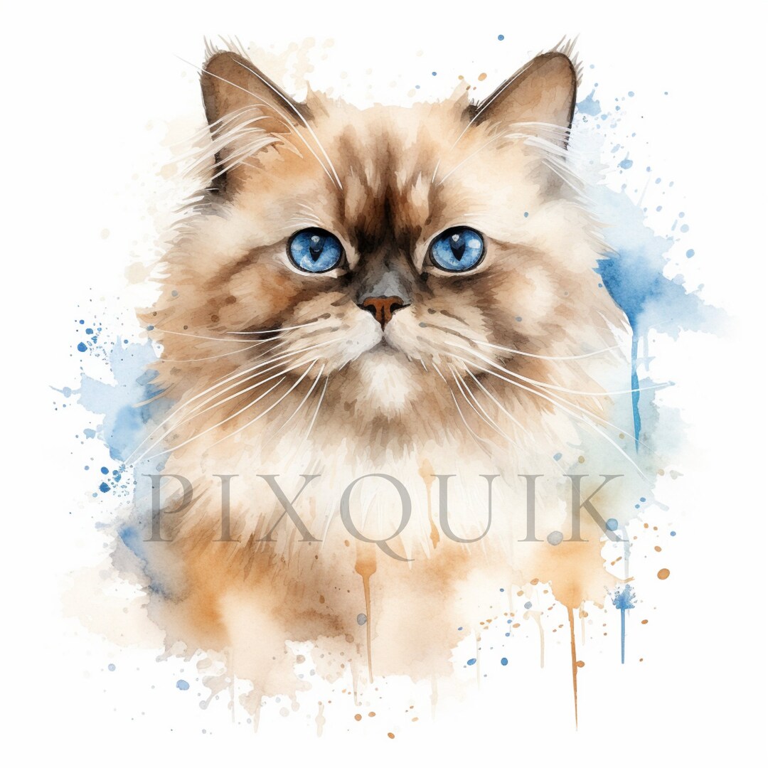 Watercolor Himalayan Cat Clipart | 10 High Quality Jpgs | Digital ...