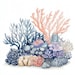 Watercolor Coral Reef Clipart: Marine Life Art (JPG & PNG Files) - Etsy
